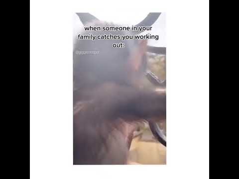 when someone catches you #shorts#meme #monkeymeme