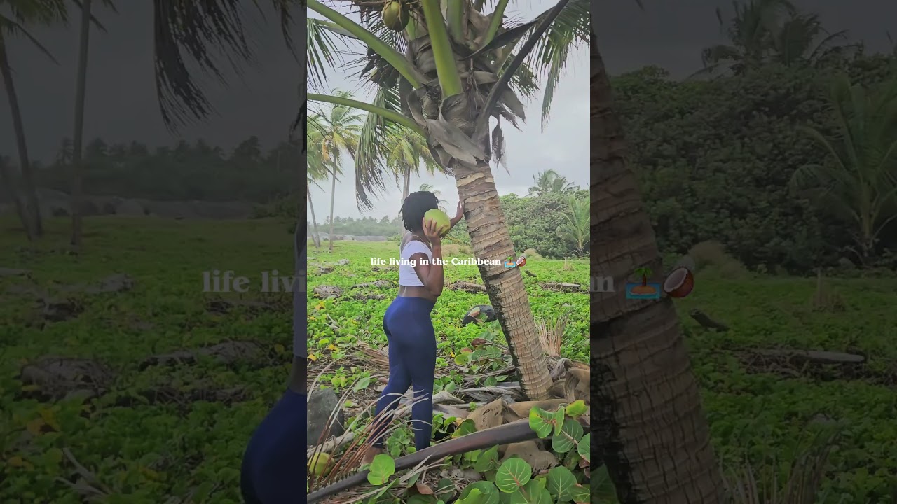 I LOVE ST.VINCENT #SAINTVINCENTANDTHEGRENADINES #shorts #explore