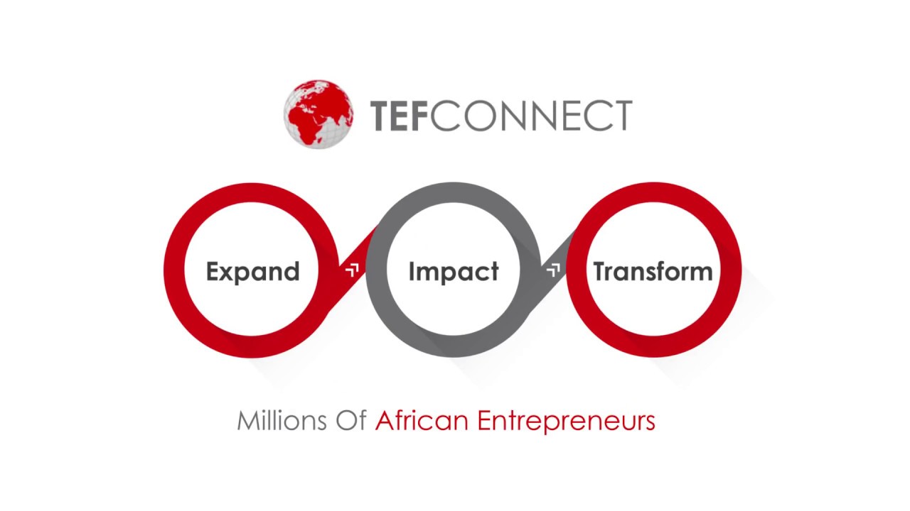 TEFConnect, the Digital Platform for African Entrepreneurs- Meet Wamai