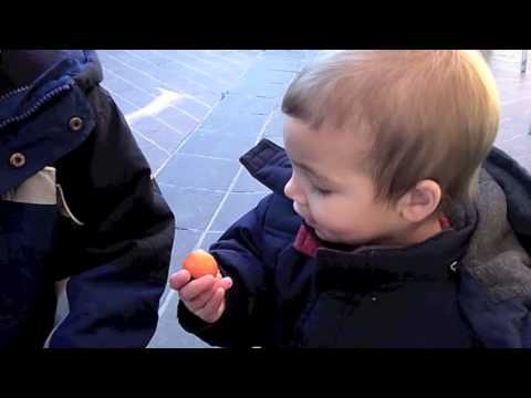 Cours Saleya Food Market in Nice France.m4v