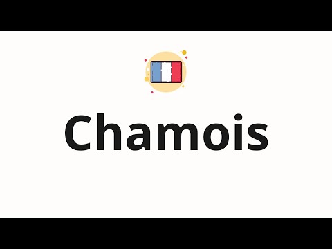 How to pronounce Chamois