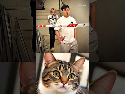 fast reflex 🤣 #cat #meme #funny #trending