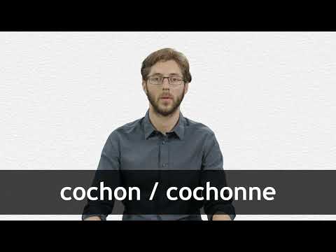 How to pronounce COCHON / COCHONNE in French
