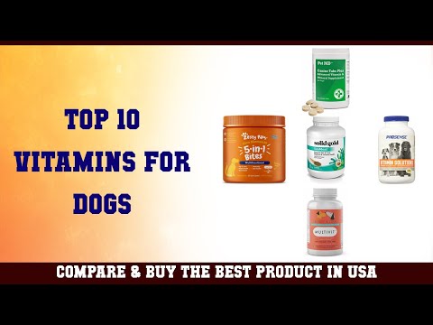 Top 10 Vitamins for Dogs to buy in USA 2021 | Price & Review