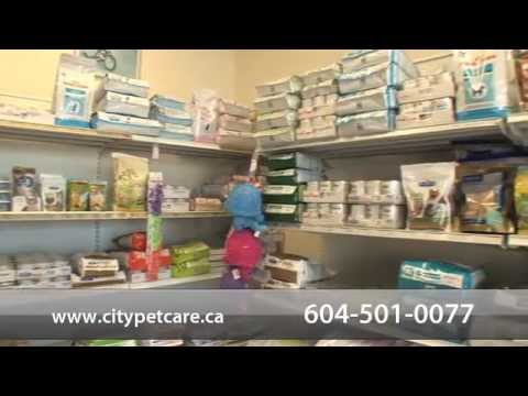 Welcome to City Petcare Animal Hospital Veterinarian for Surrey, Delta, Langley Bc