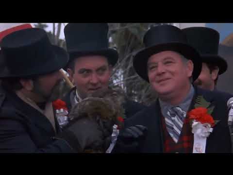 Brian Doyle-Murray. Aqui como Buster Green em GROUNDHOG DAY (1993).