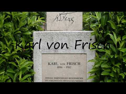 How to Pronounce Karl von Frisch?