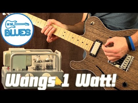 Biyang WANG AMPS VT-1H ALL TUBE 1 WATT MICRO AMP HEAD | Reverb
