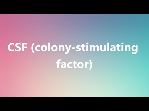 CSF (colony-stimulating factor) - Medical Meaning and Pronunciation