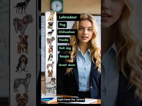 Types of dogs in English || #englishlearning
