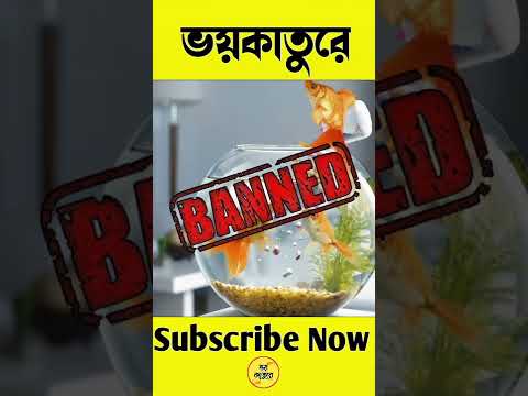 Bengali Fact Shorts | Bangla Facts | Random facts #shorts #factshorts
