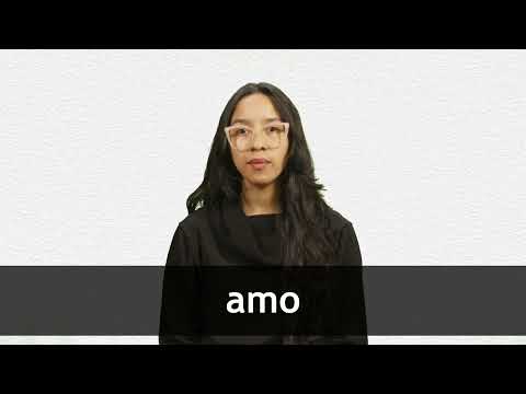 English Translation of “AMO” | Collins Spanish-English Dictionary