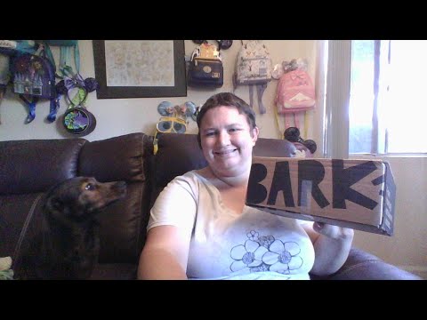 Bark Box unboxing with my dogs
