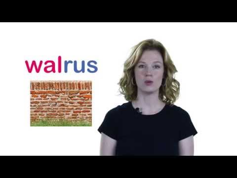 Syllables: Two-Syllable Words, Part 2