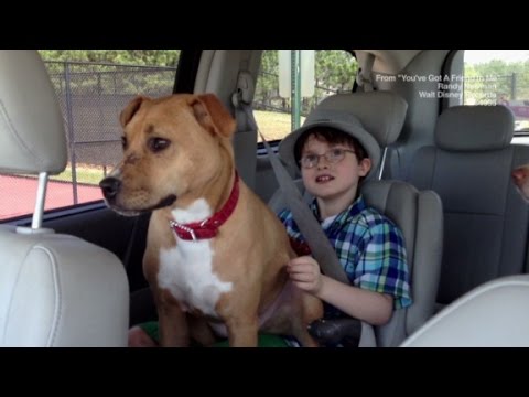 Jonny & Xena – Autistic boy and his rescued pit bull puppy | Fandom 4 ...