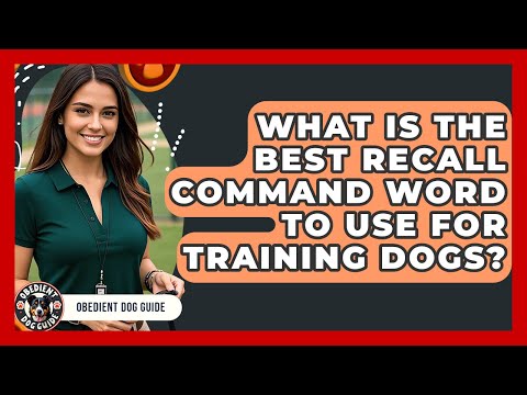 What Is the Best Recall Command Word to Use for Training Dogs? | Obedient Dog Guide
