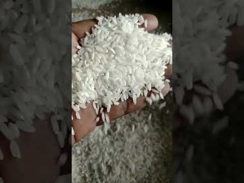 Best Quality Long Grain Rice, Long Grain White Rice prices, Suppliers ...