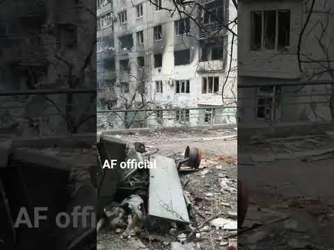 ukraine military in bakhmut #shorts