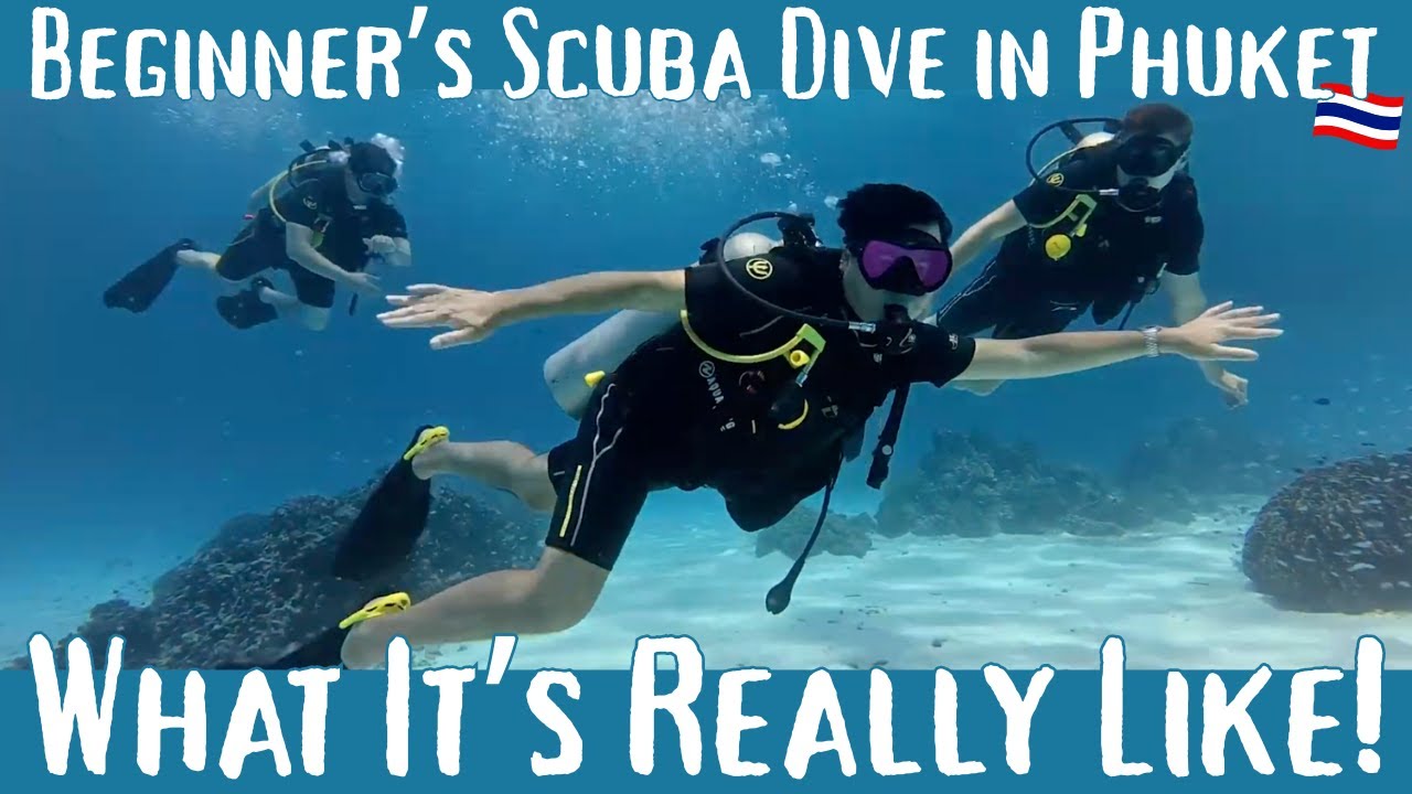 Beginner’s Scuba Dive in Phuket: What Its REALLY Like!
