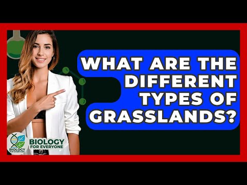 What Are The Different Types Of Grasslands? - Biology For Everyone