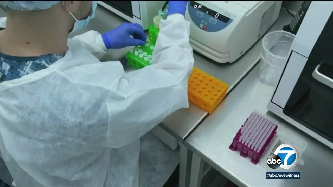 WHO declares monkeypox a global emergency | ABC7