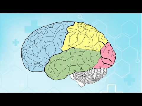 How are Synapses like Trees?: An Introduction to Synaptic Pruning