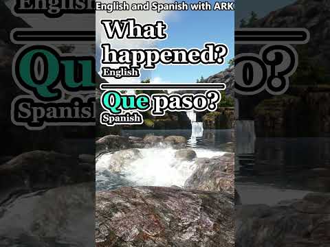 What happened? - Que paso?