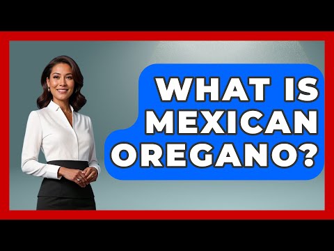 What Is Mexican Oregano? - Magical Mexico Moments