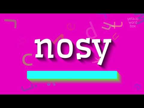 NOSY - HOW TO SAY NOSY?