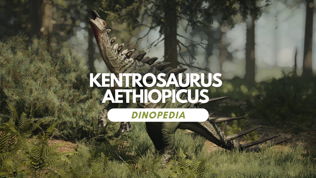 Dinopedia - Kentrosaurus aethiopicus