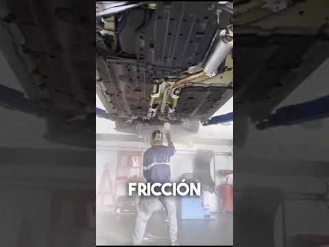 Ducha Grafitada Blanca