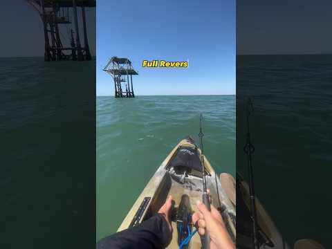 Secret Sabiki Tactic Catches Monster Fish π
