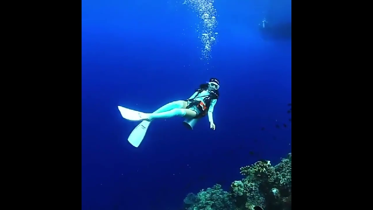 Acdive women shorty wetsuit