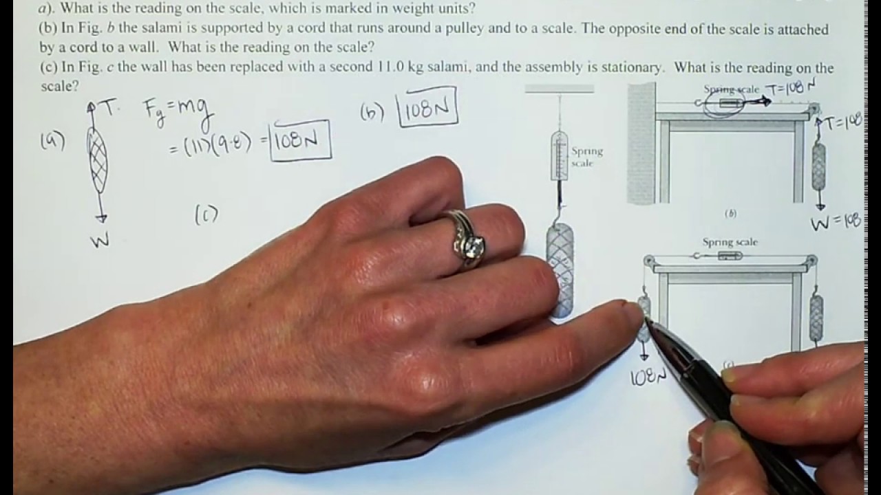 Chapter 5 Problem #13