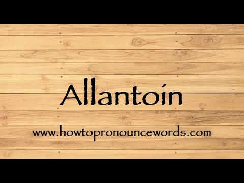 How To Pronounce Allantoin ? How To say Allantoin New Video