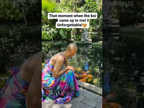 Connection with Koi #iamacreator