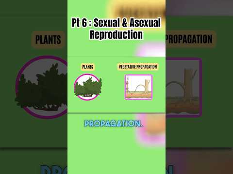 Part 6 |🧬Reproduction Basics: Sexual vs Asexual | #Shorts