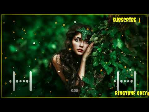 Locanto app for google chrome - merchantsos