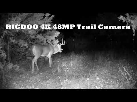 RIGDOO 4k Night Vision Game Camera | Quinn's Next Step