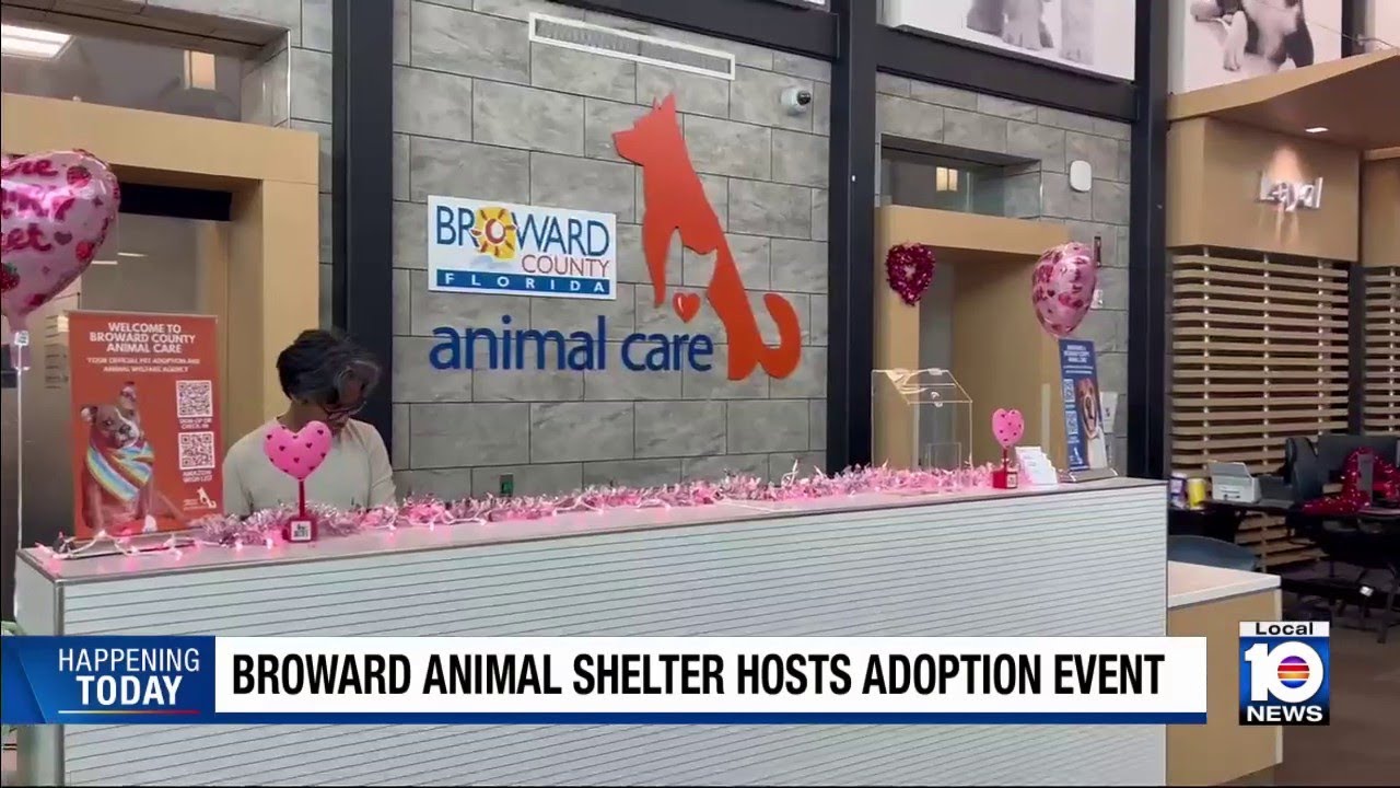 Special promotion for ped adoption offered by Broward County Animal Care