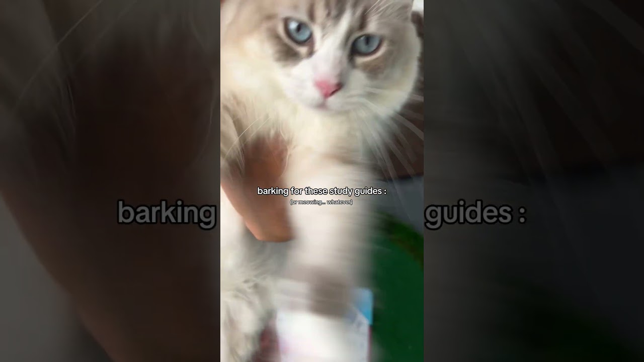 Get your nursing study guide book today ! #nursingschool #pharmacology #medsurg #patho