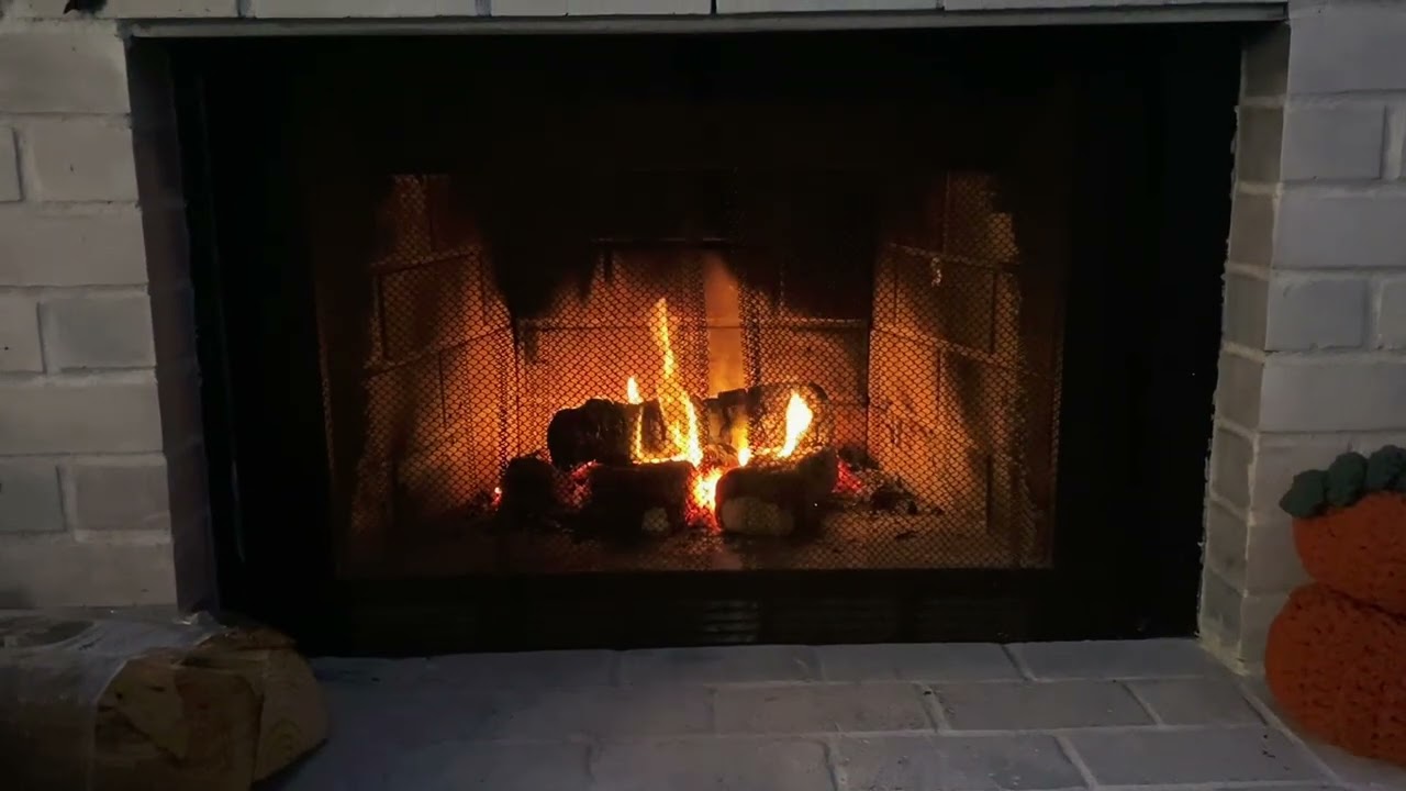 Video Vignette - Assignment 8