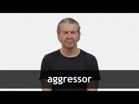 AGGRESSOR definition and meaning | Collins English Dictionary