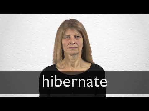 HIBERNATE definition and meaning | Collins English Dictionary