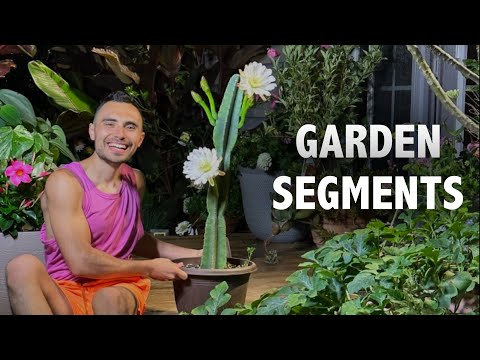 ALEX CALAMIA – JUST THE BASICS | ALEX CALAMIA