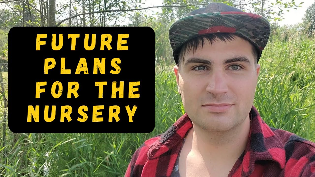 Future of the Native Plant Nursery & Spring Updates!