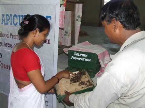 Ensure food security for 500 households in India - GlobalGiving