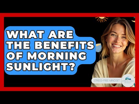 What Are The Benefits Of Morning Sunlight? - Stress Free Mindset