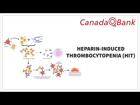 Heparin-Induced Thrombocytopenia (HIT) – Causes, Diagnosis, Treatment & Clinical Variations