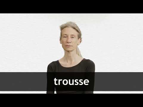 English Translation of “TROUSSE” | Collins French-English Dictionary
